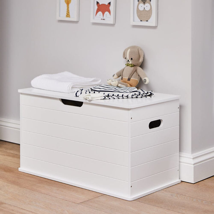 Kids' Toy Storage | Toy Chests & Cube Toy Storage